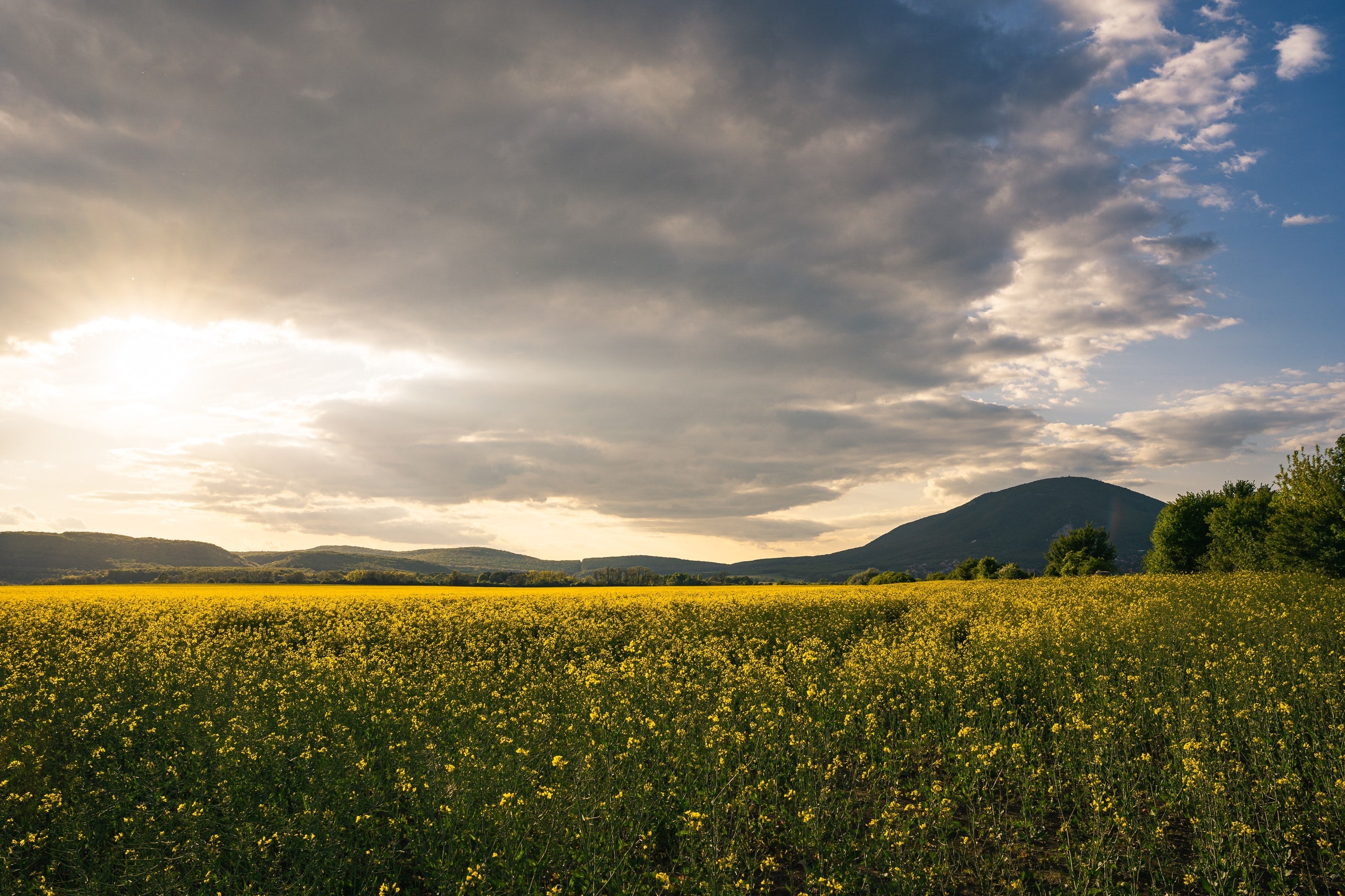 Forgiveness & Forbearance | Seeing Jesus with Paul Miller – seeJesus
