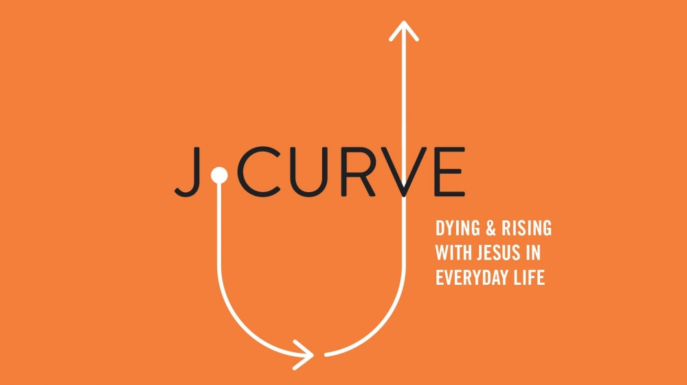 The Many J-Curves of the J-Curve | J-Curve Book | seeJesus