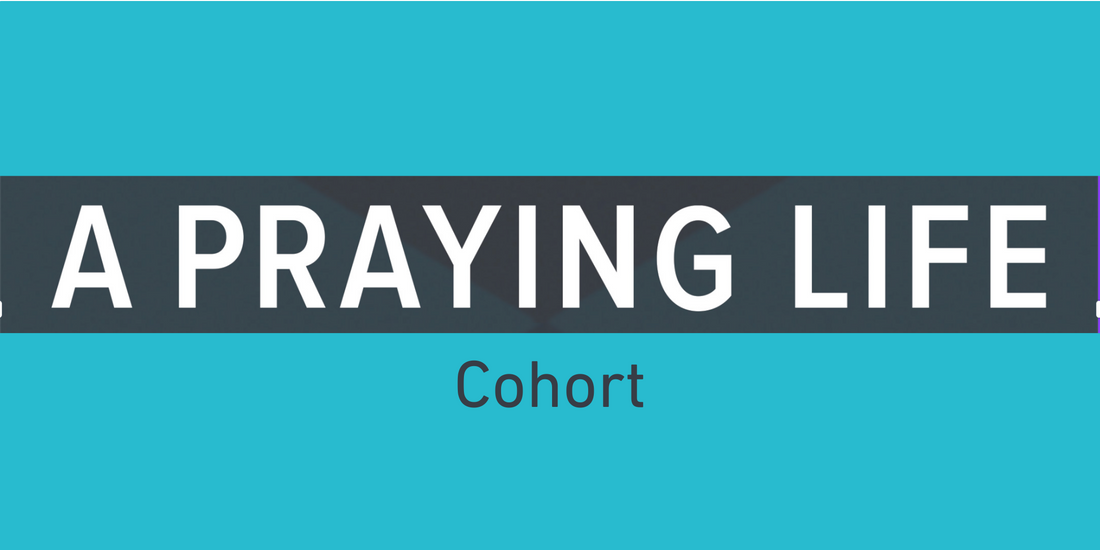 Cohorts | Personalized Prayer Training | seeJesus Ministry