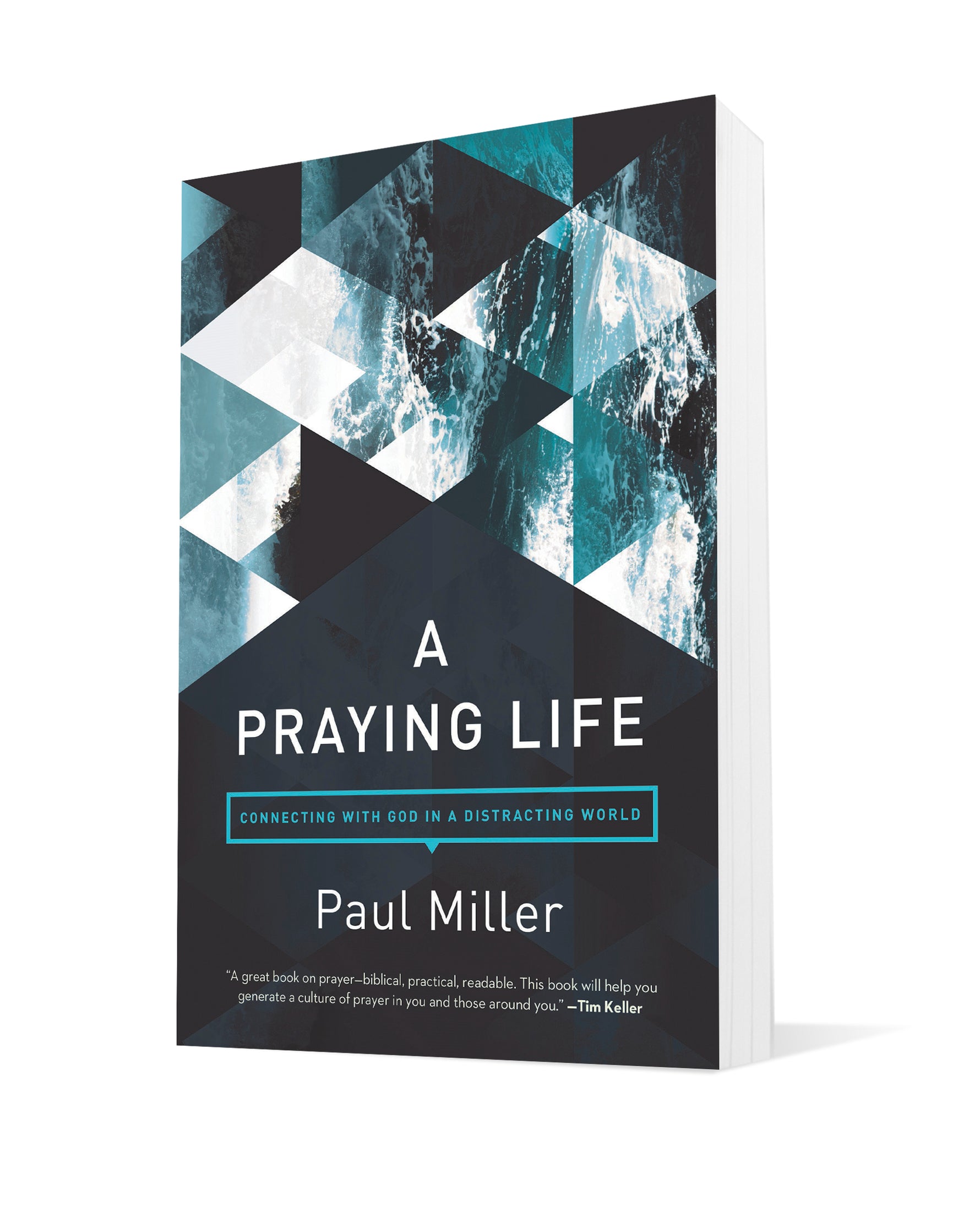 A Praying Life | Paul Miller's Best-Selling Book | seeJesus