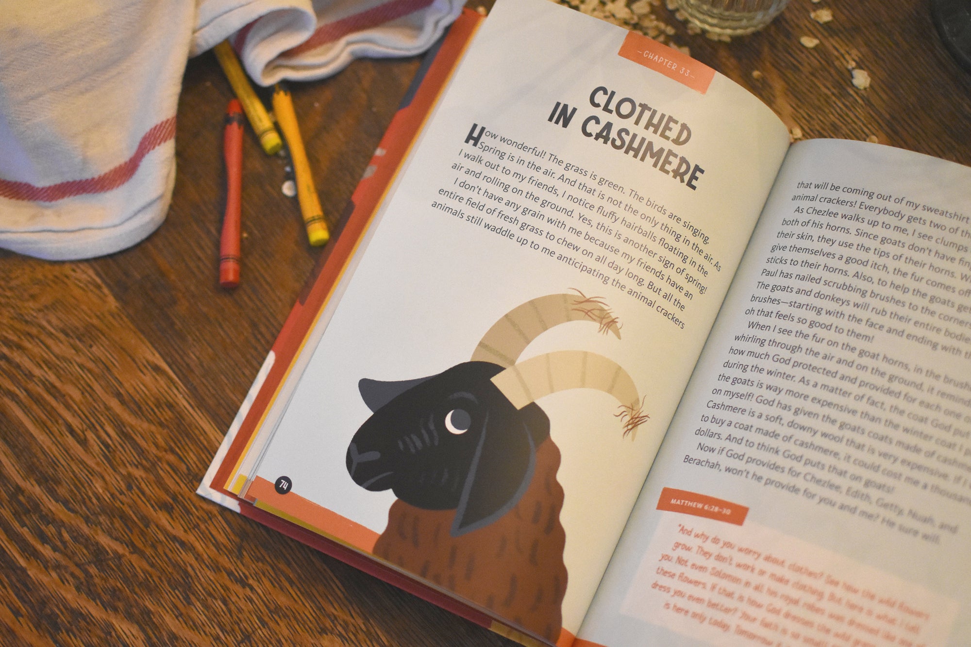 Jill Miller | Adaptive Curriculum Writer | seeJesus Ministry